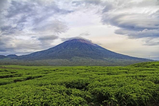 Indonesian Natur: Pesona Gunung Kerinci