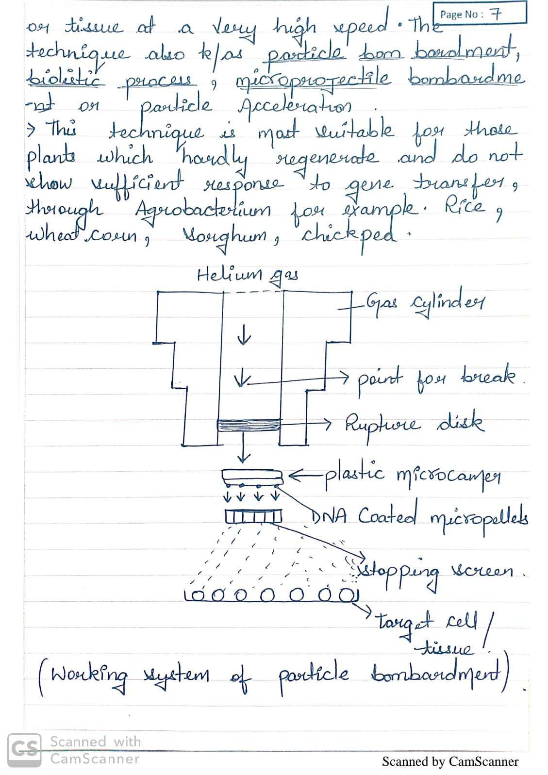 Biotechnology Principles and Process Handwritten Notes for 12th Biology