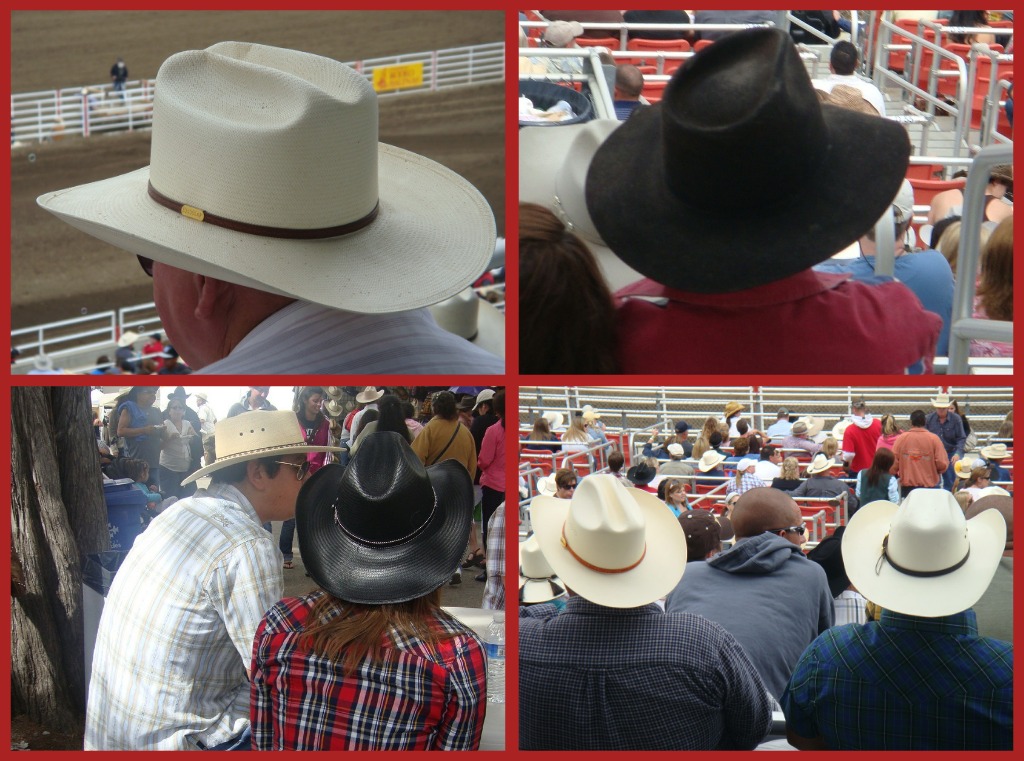 Salinas Rodeo | sealaura