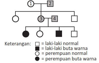 KELAINAN/PENYAKIT MENURUN MELALUI GONOSOM | KELAS XII – Biologi Organik ...