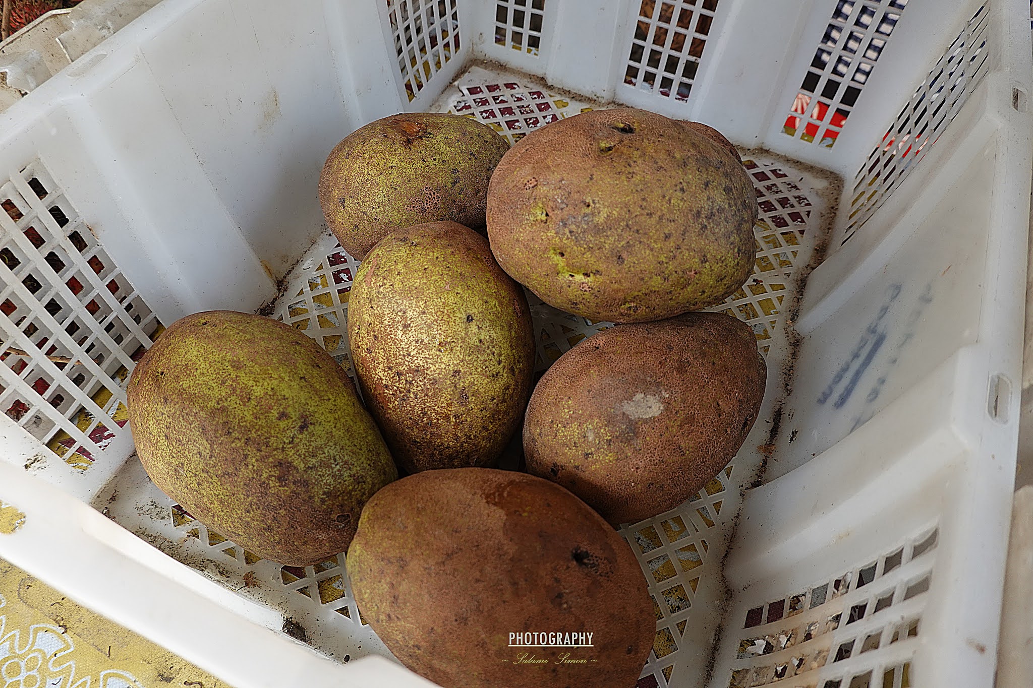 Buah Bundu @ Belunu @ Binjai, Bambangan & Durian Merah - Amie's Little ...