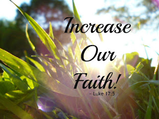 Sunday Gospel Reflections in Three Points: October 2, 27th Sunday in ...