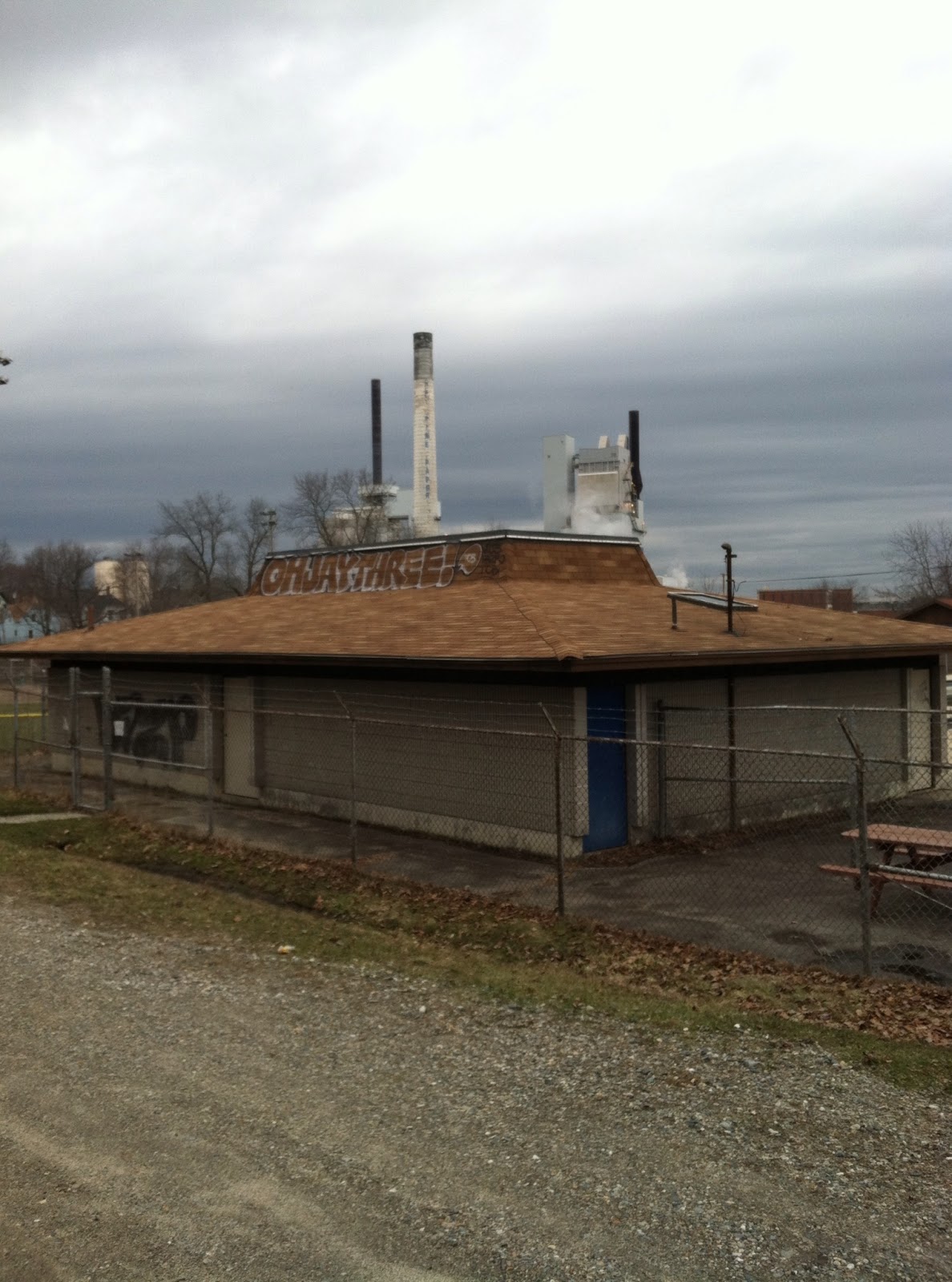 Daily Pics photographs by Caren-Marie Michel: Cornelia Warren Pool ...