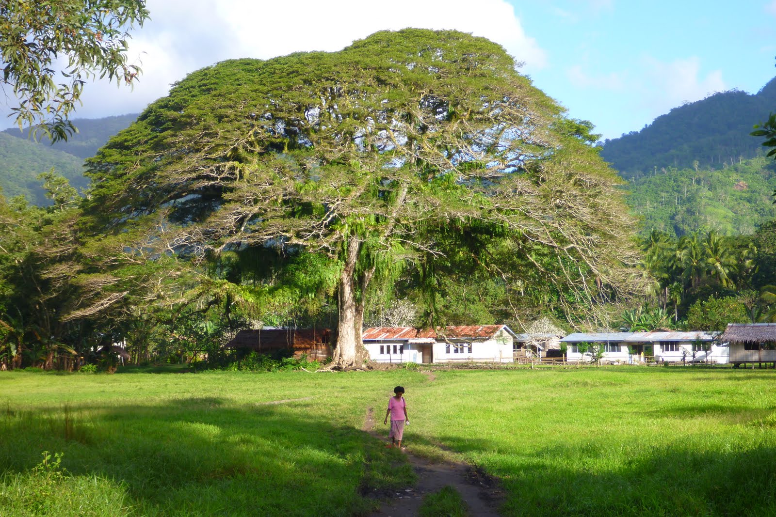 The Kingdom of Baikal: August 2011
