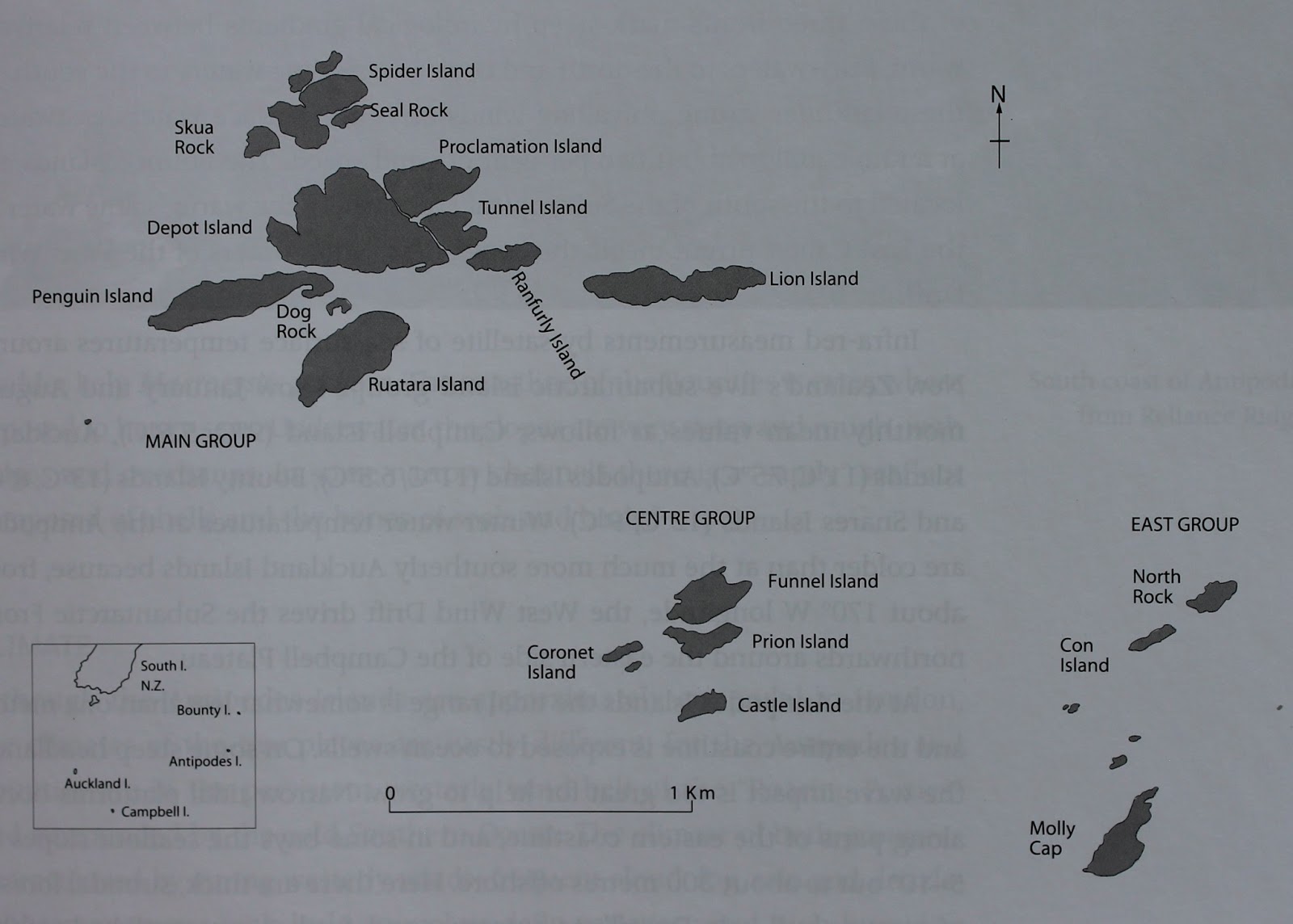 Heading South: Is That Your Last Penguin Species?