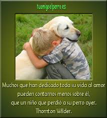 J Ruiz en la red: Refranes de perros, no perros refranes.