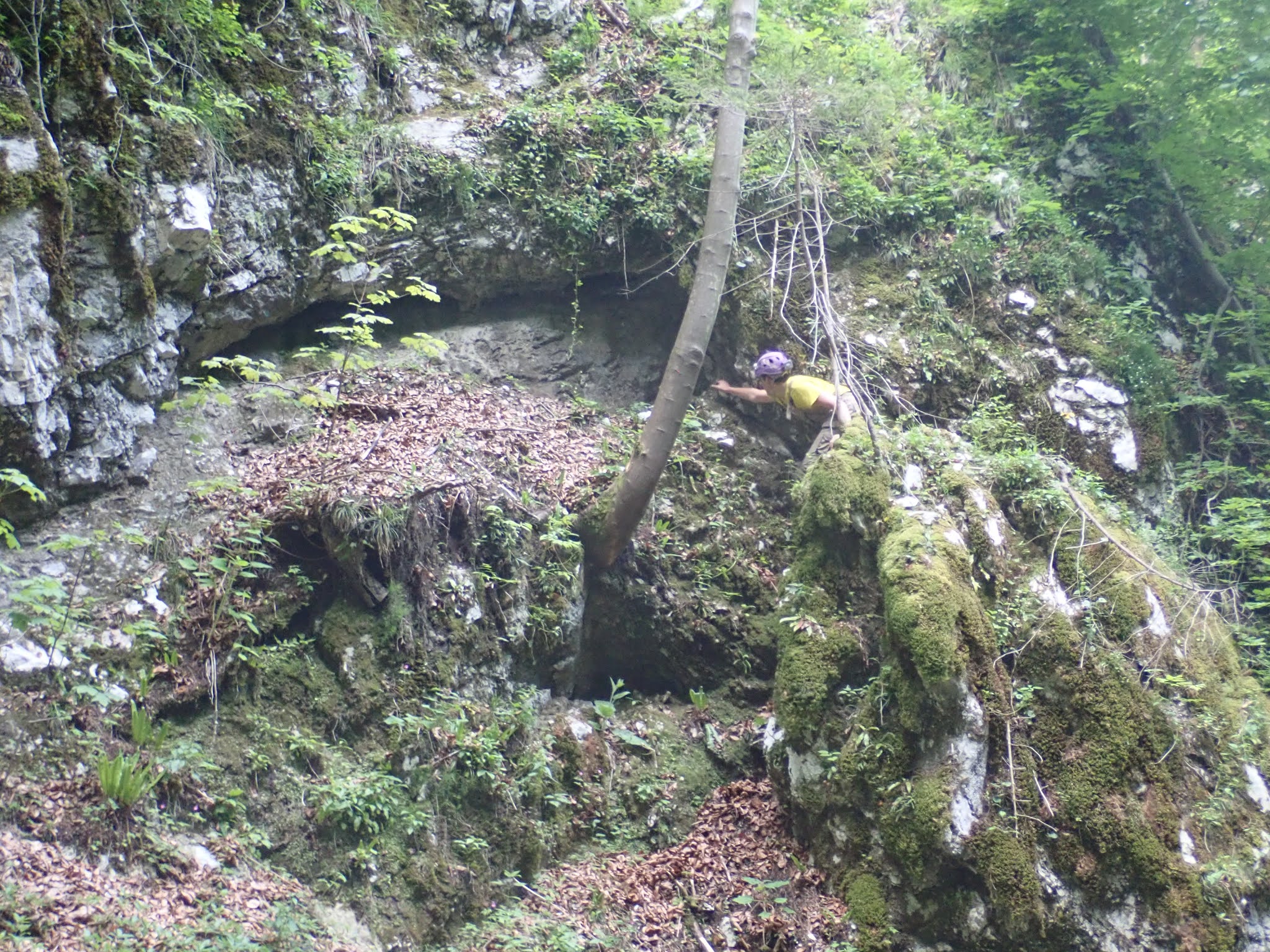 ŠTAJERSKI JAMARJI: Aktualno: Požiralnik pod Mornovo zijalko