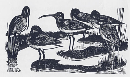 Women Artists in Cornwall: Hilda Quick and the Minack Theatre