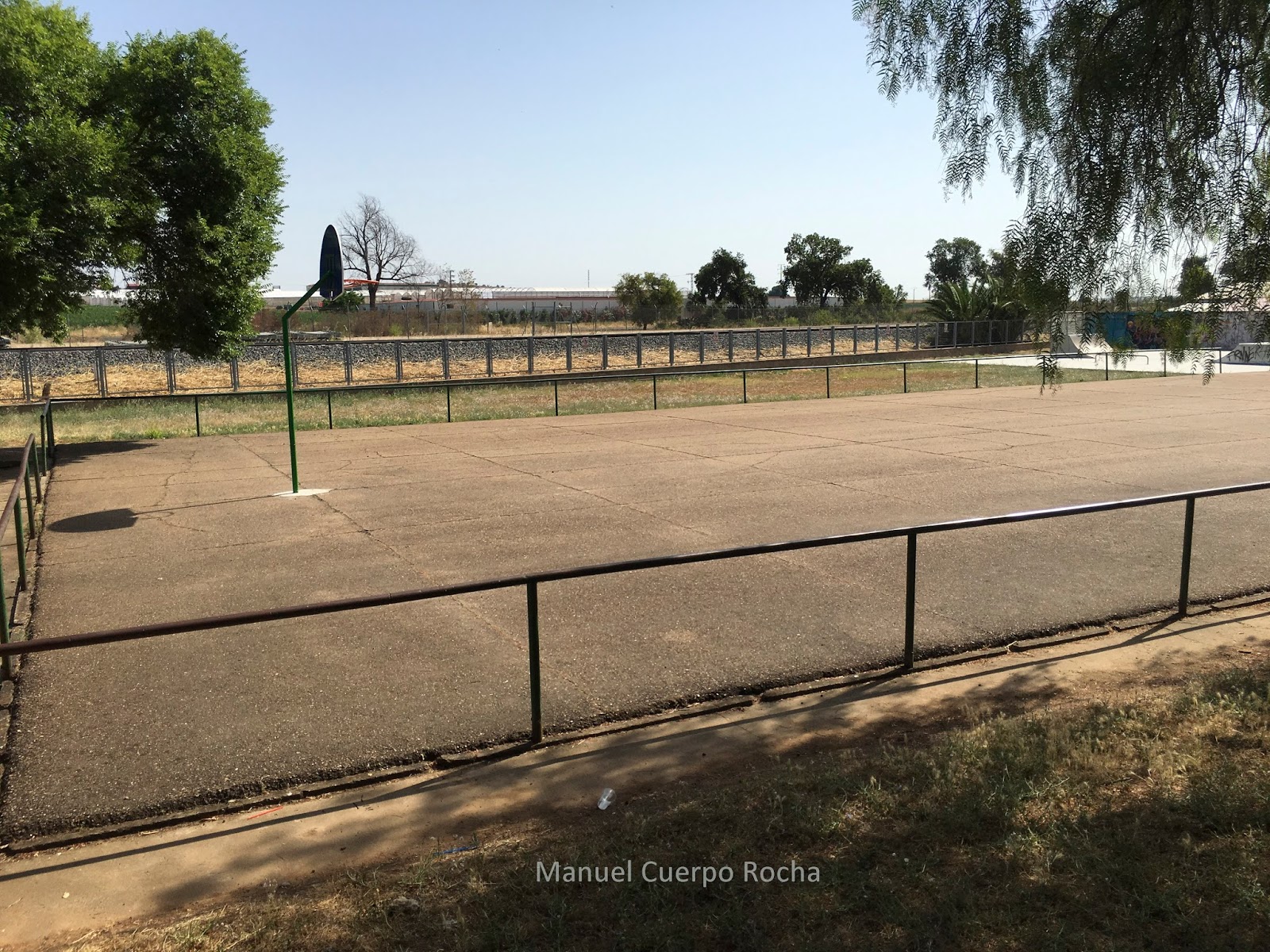 PARQUE MUNICIPAL DE MONTIJO: 5.PARQUE MUNICIPAL. ORNAMENTOS E ...