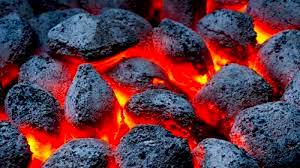 ScuolaTest: VERIFICA SUL CARBONE