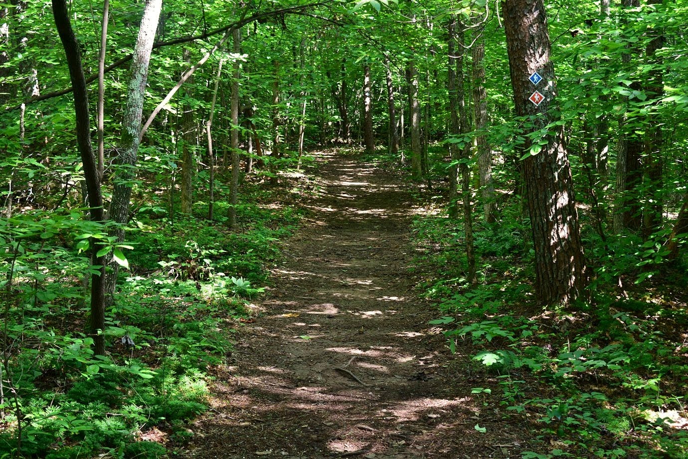 Waterfall Hero Hikes: Mayo River State Park
