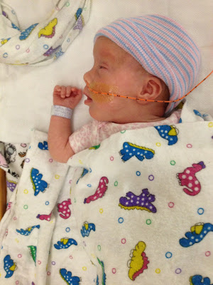 The Pair of Scates: Five Pounds!!!