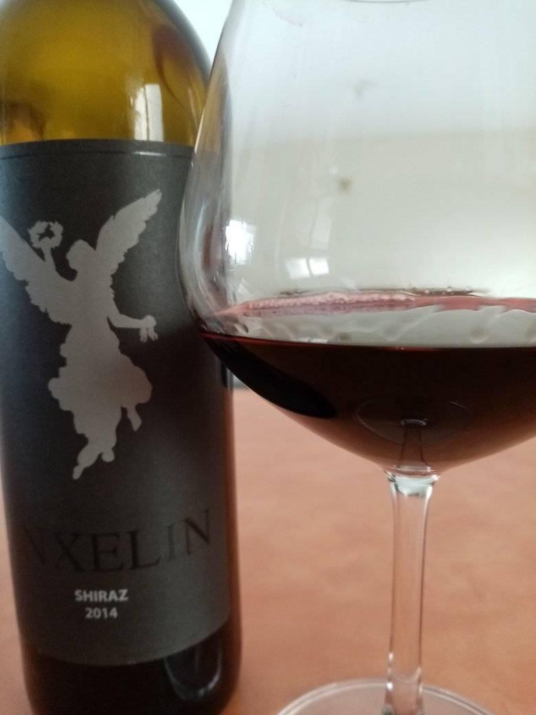 Copas y Corchos: Delicioso vino mexicano: Anxelin Shiraz