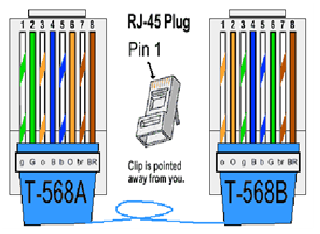 Ethernet (UTP) Cable