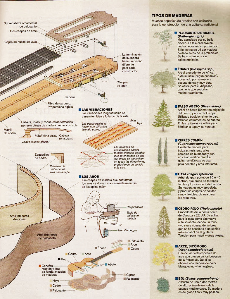Cithara hispanica : Dimensiones y partes de la guitarra