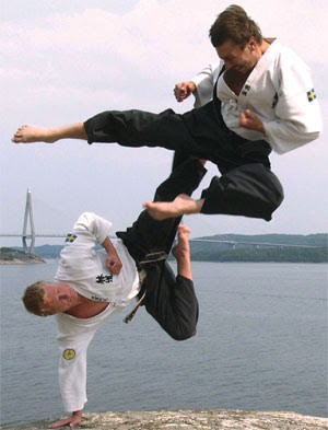 Artes Marciales del Mundo: TAIDO, EL CAMINO DEL CUERPO. 🇯🇵