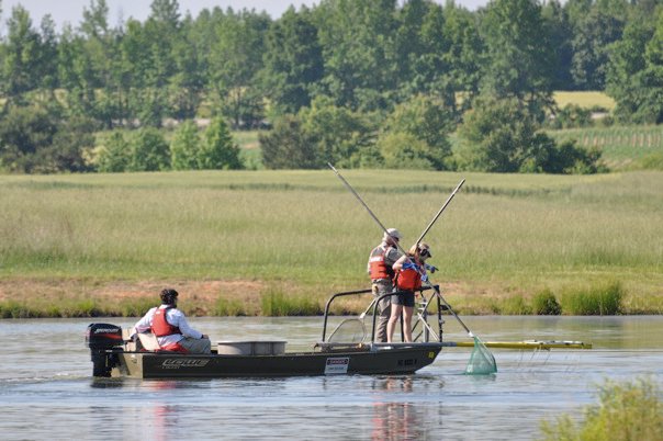 The Fisheries Blog: Electrofishing: How to be effective