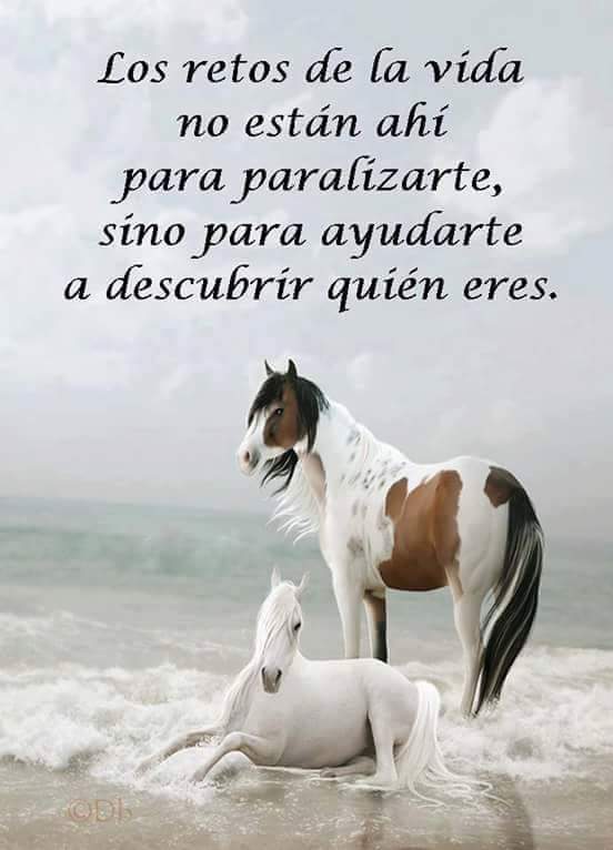 Frases Bonitas Para Facebook: Frases de Motivación Y Sobre Los Retos ...