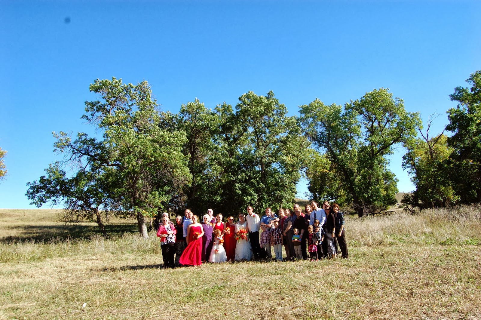 Nana Porcupine: Our first "COW PASTURE" wedding