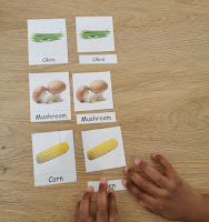 How to use the Montessori 3-Part Cards