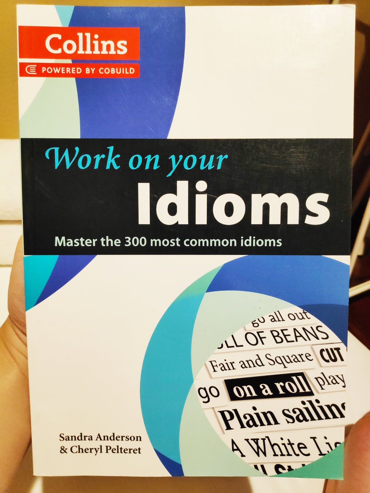 Klinsman Hinjaya's Blog: Work on your Idioms – Book Review
