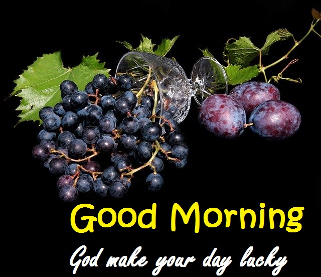 Download Good Morning Images - Your Hop