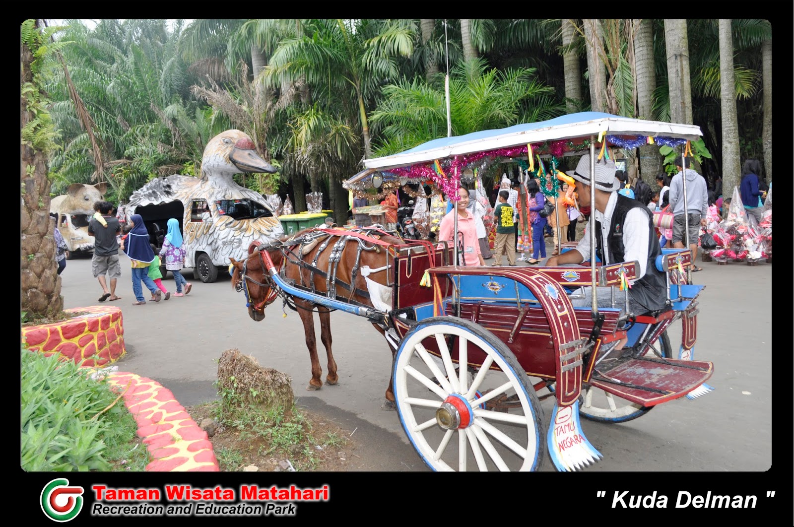 Wisata Puncak: Wahana Kuda Delman