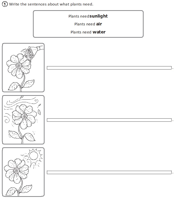 El blog de Mónica: PRIMERO ACTIVIDADES UNIT 3 LIVING THINGS
