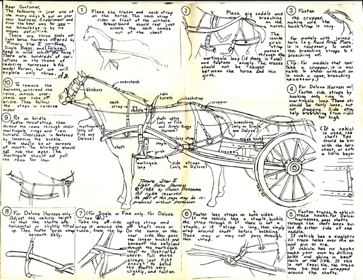 Timaru Star II: 2019