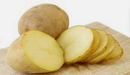 Macam macam jenis kentang | Cemara Tujuh