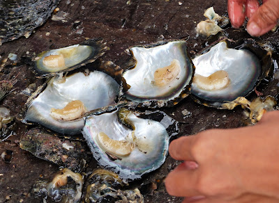 Vanille en vadrouille: juin 2018