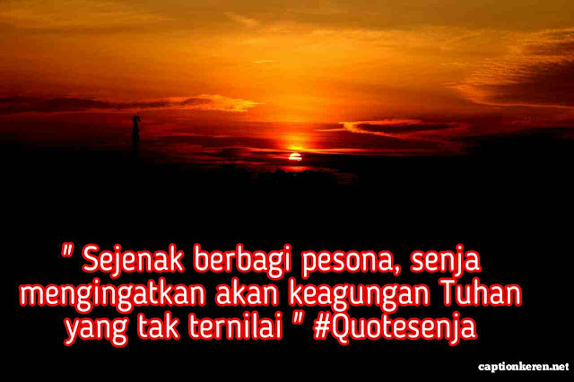 quotes senja