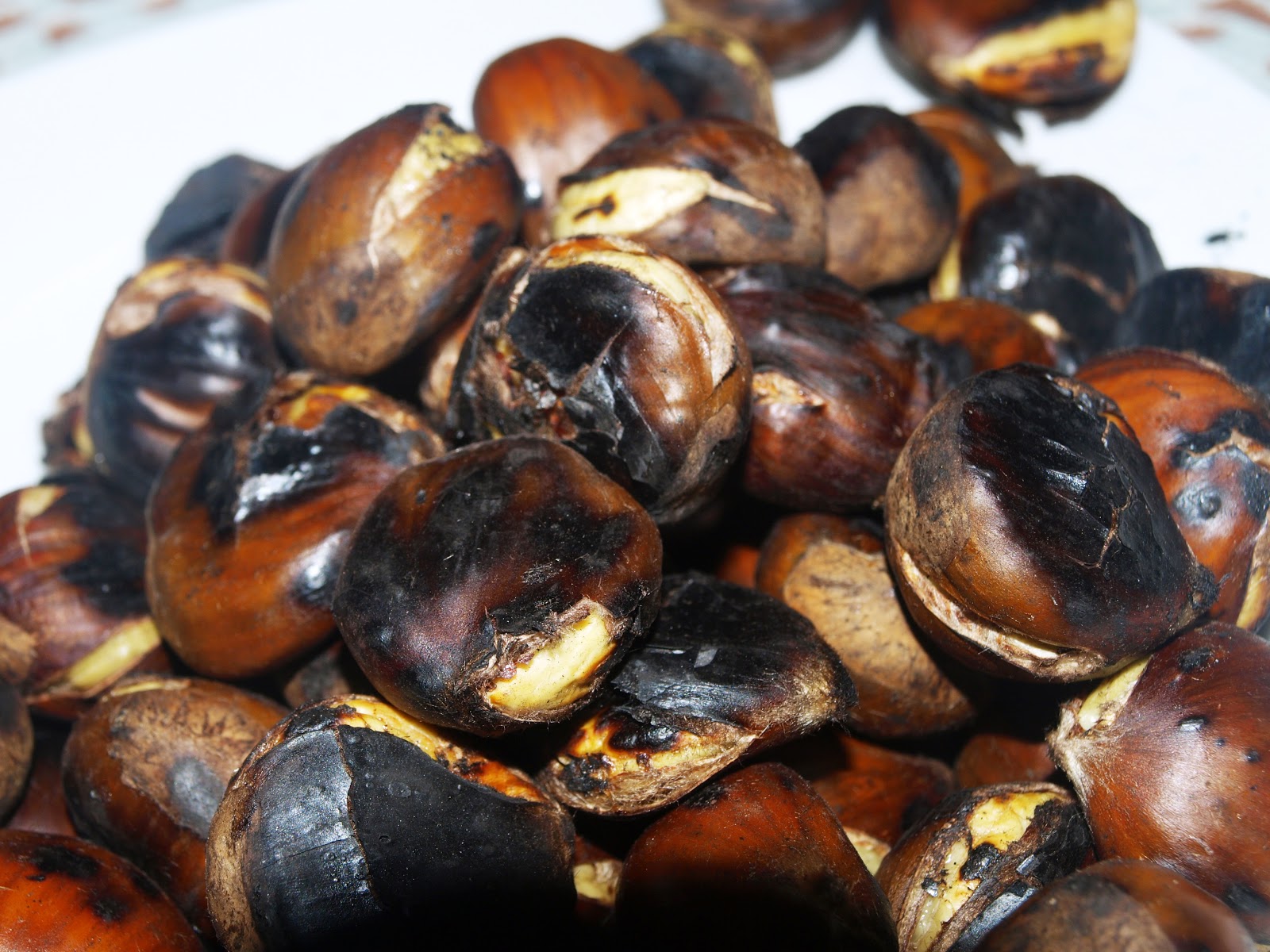 Viajar En Mi Nube Particular II: Otoño, castañas asadas...