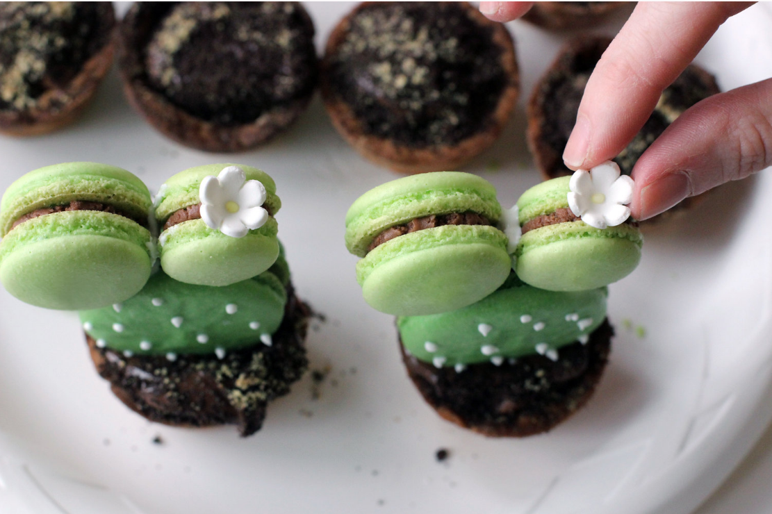 HOW TO MAKE THE SPINY CACTUS FRENCH MACARON - Food Boiling