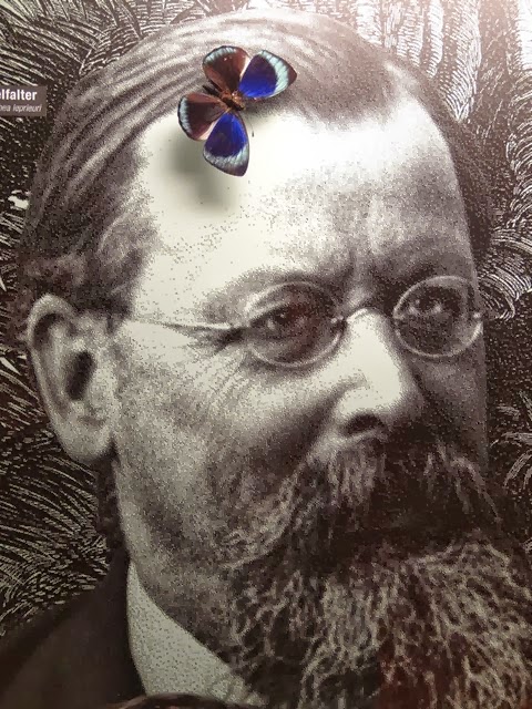 Jacques Huber and the Amazonian Botany: 2013