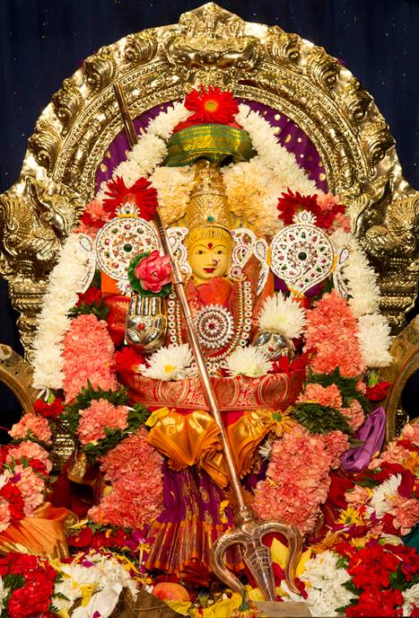 Show my best: Different Forms Of Navdevi