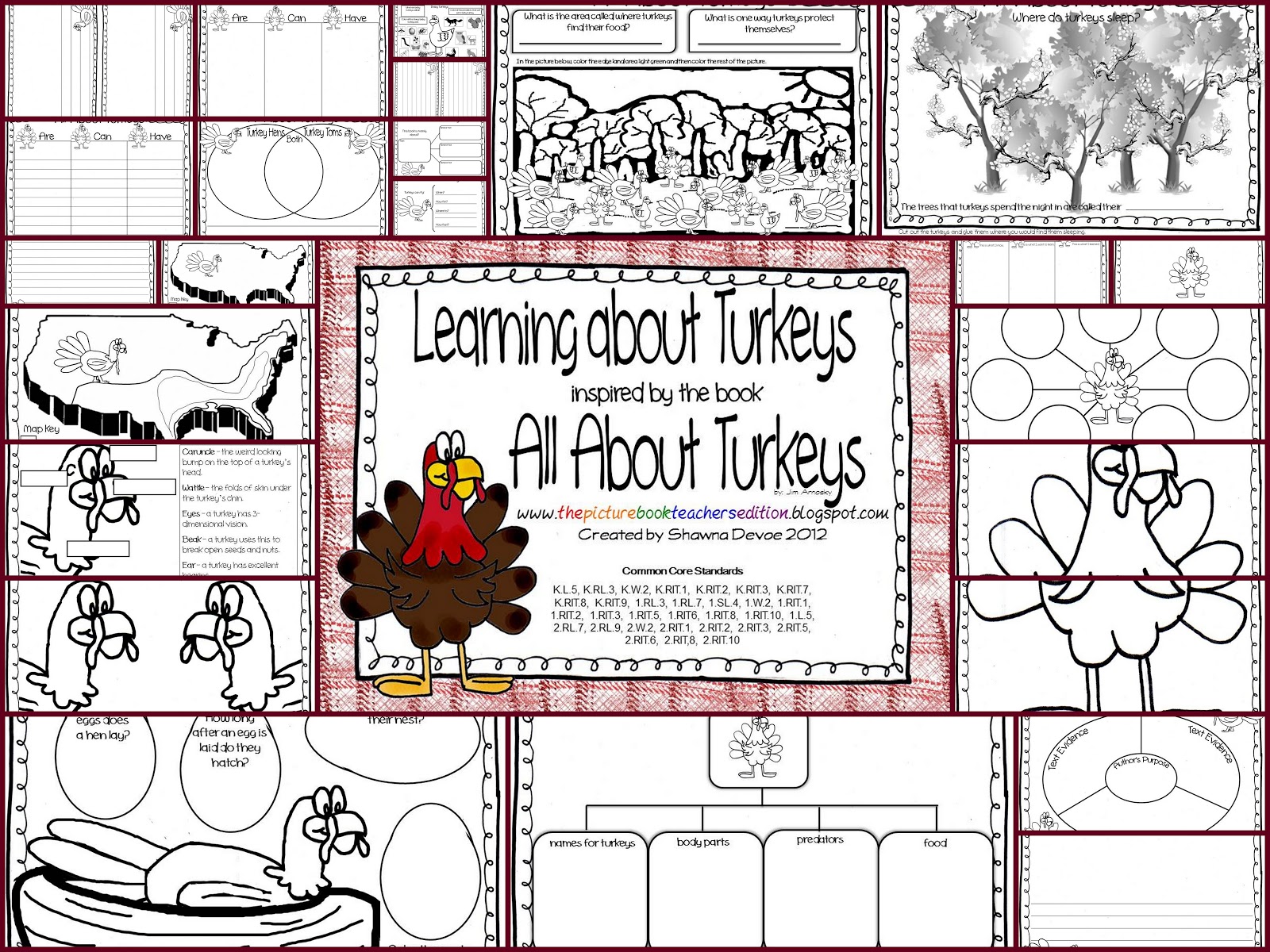 All About Turkeys by Jim Arnosky - Teaching Ideas | The Picture Book ...