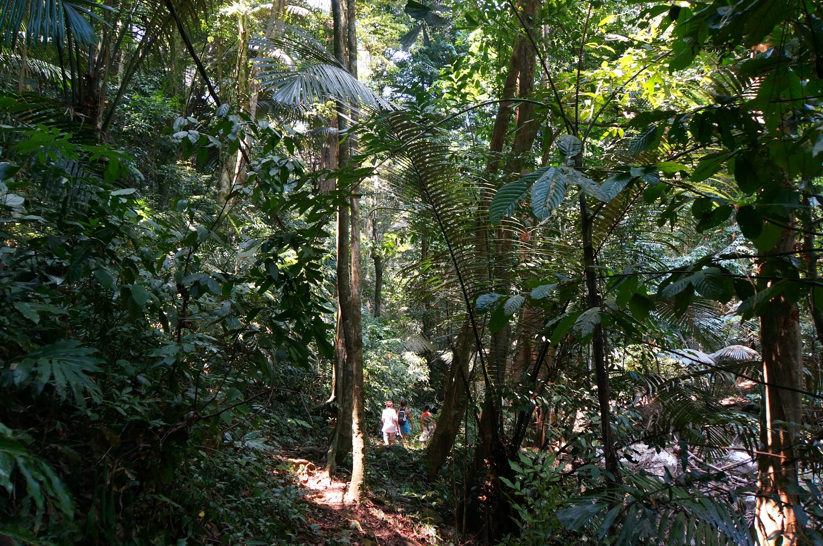 Malaisie - jour 12 : Tioman - Jungle trek vers Juara