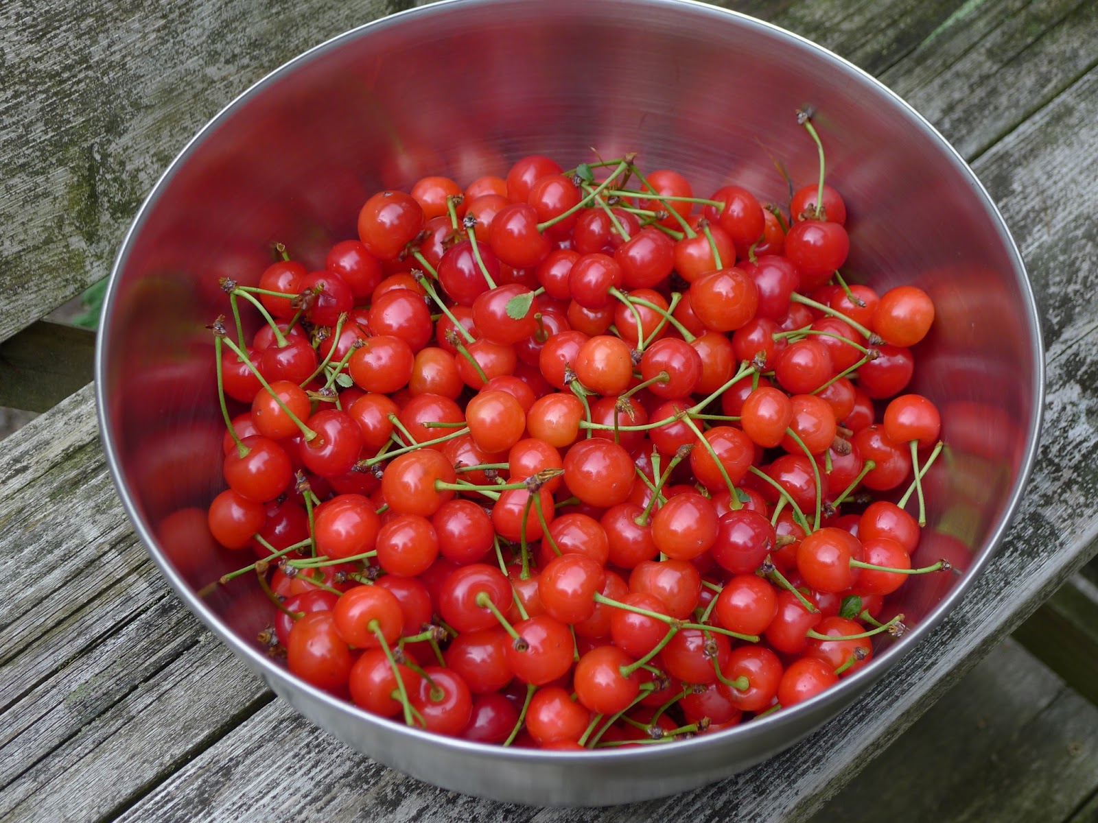 Happy Valley Locavore: Freezing Sour Cherries