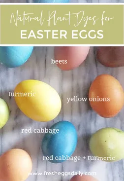 Dyeing Easter Eggs with Natural Plant Dyes - Fresh Eggs Daily® with ...