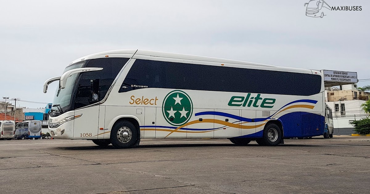 MAXIBUSES: ELITE SELECT