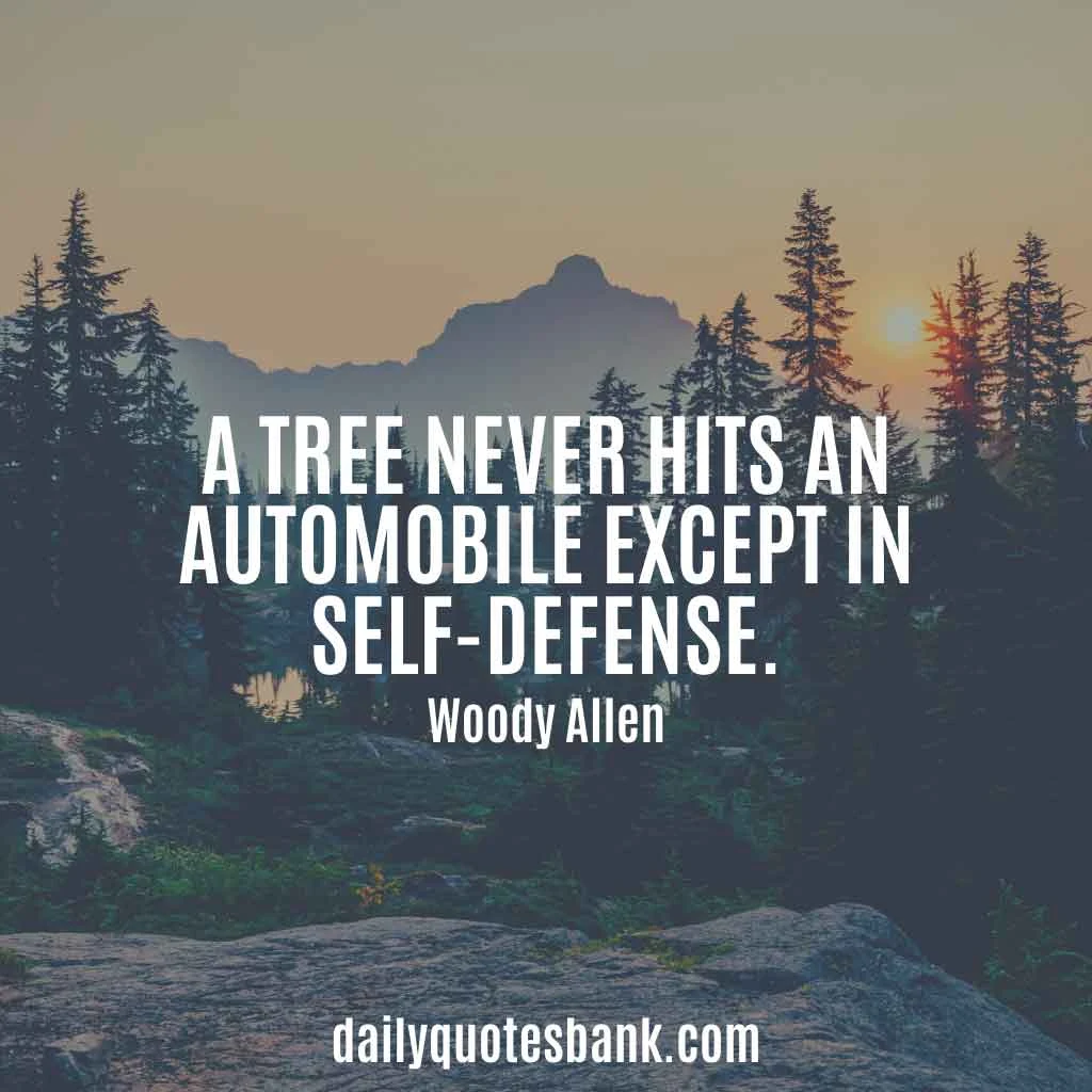 100 Inspirational Quotes About Planting Trees For Future Generations