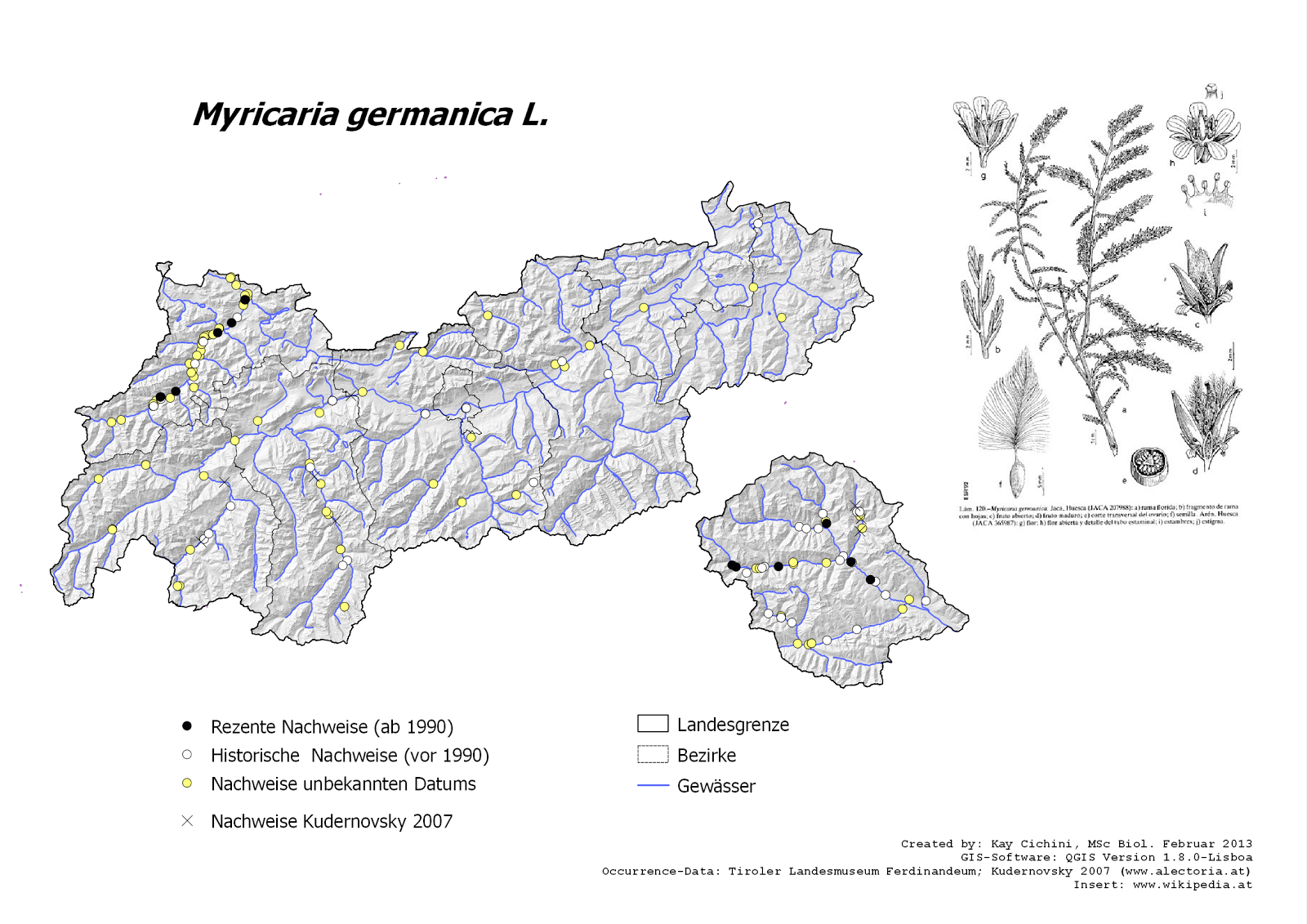 theBioBucket*: Myricaria Occurrence Map for Tyrol, Austria