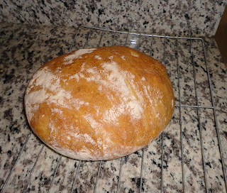 La Botte Piccina: A Love Affair with Pane...and How to Make Good Crusty ...