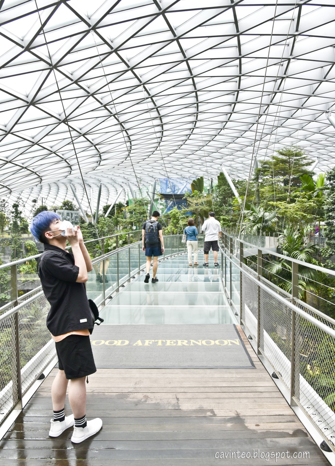 Entree Kibbles: The Canopy Bridge @ Jewel Changi Airport [Singapore] # ...