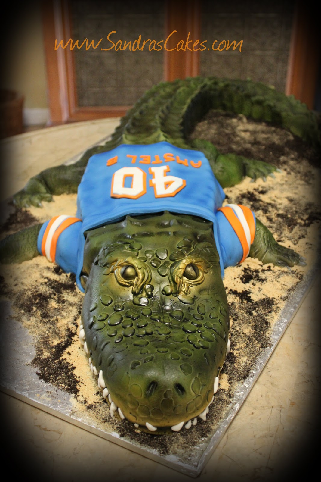 Florida Gators Cake