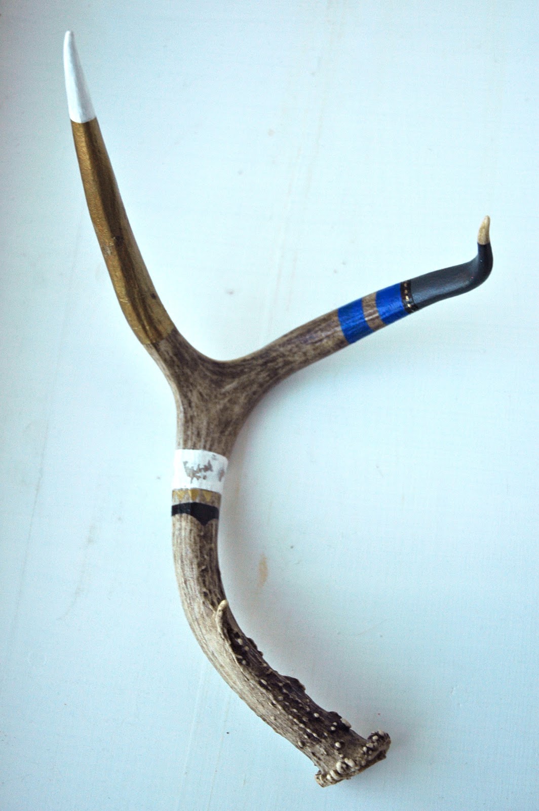 Hannah Loumeau Leonard: Hand painted Deer Antlers
