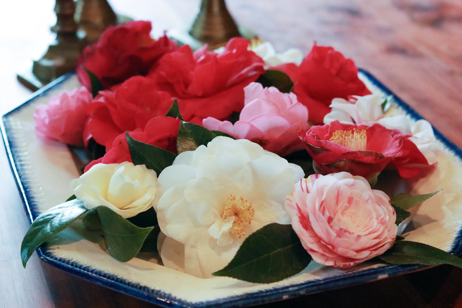 A Cook and Her Books: How to Bake Biscuits with Chef Scott Peacock