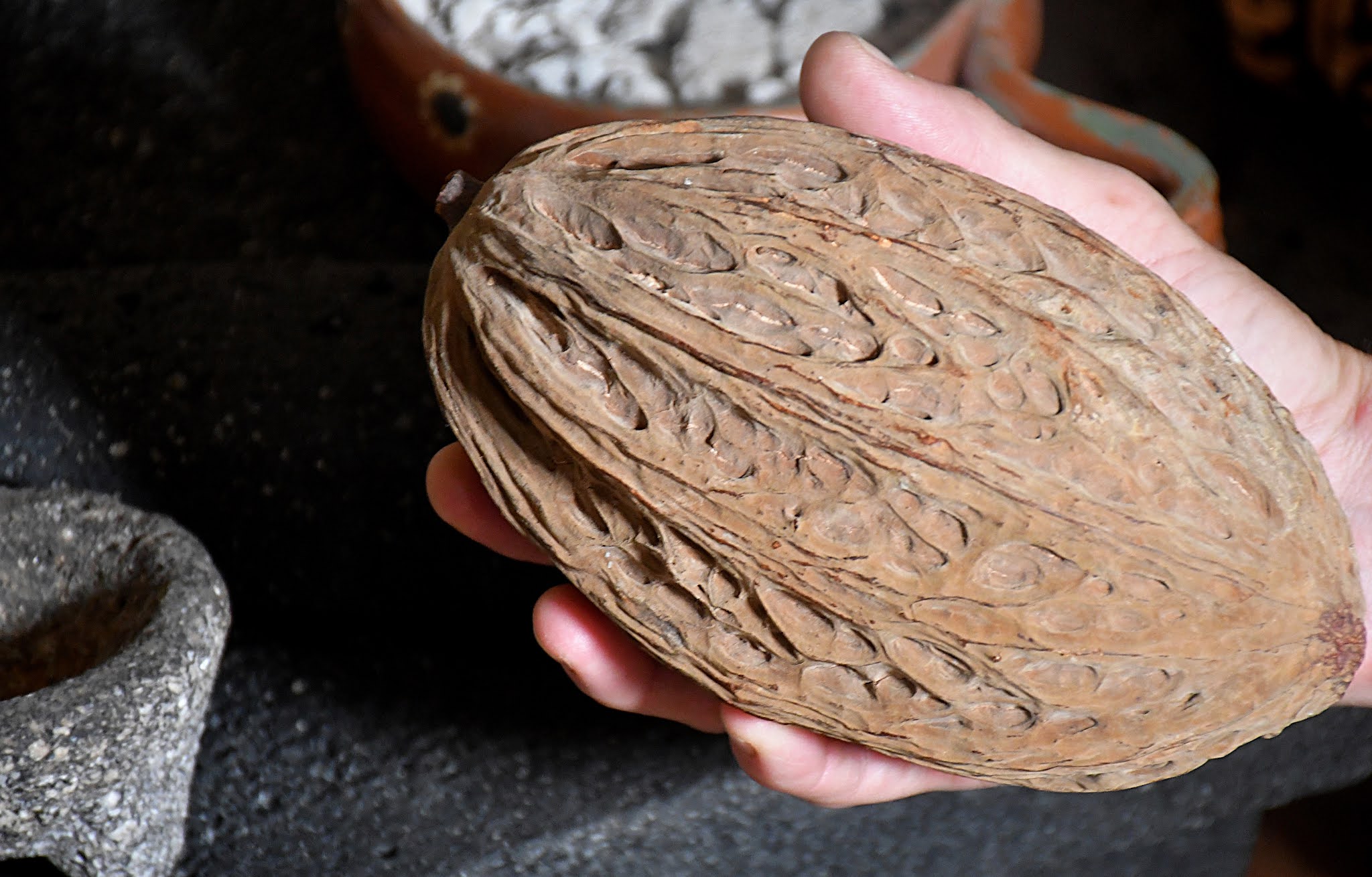 CupCakes and CrabLegs: Chef David Jahnke Cooking Classes Lab