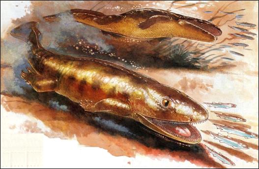 Blog de la Vida Prehistórica: Ichthyostega